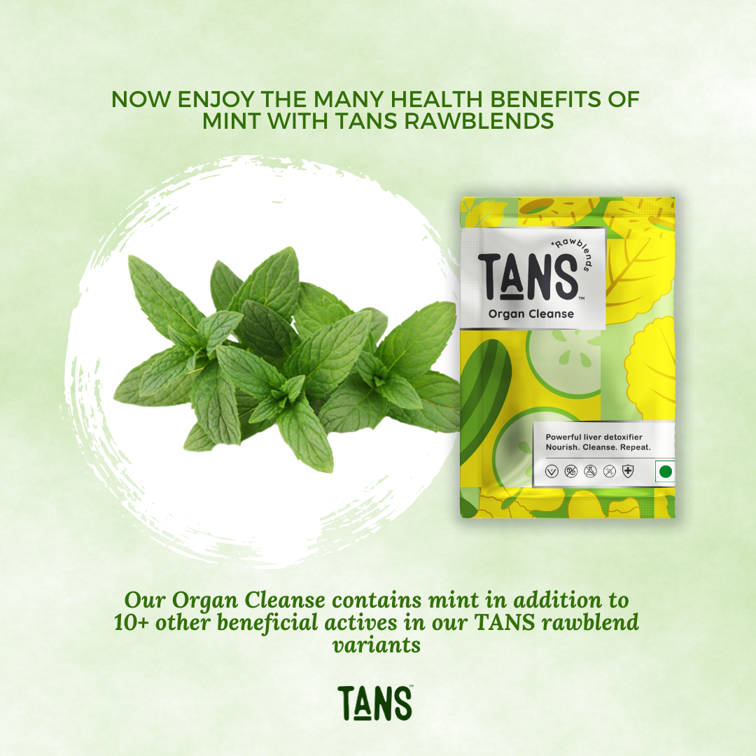 The Many Health Benefits Of Mint